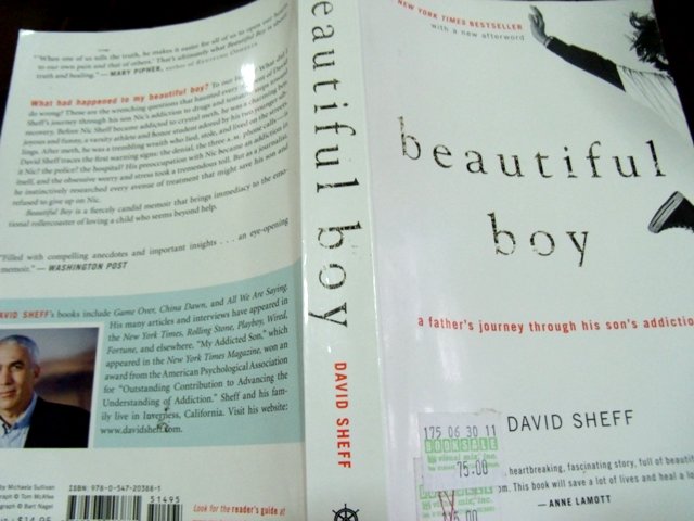 Pinay Prose and Stills: Beautiful Boy by David Sheff: Raw ...