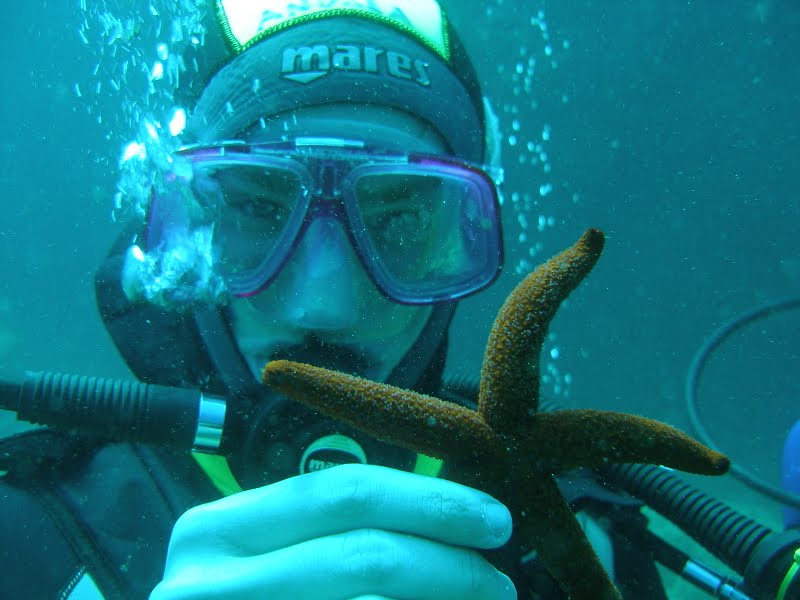 Living and Learning in Italy: SCUBA Club Dive at the Tremiti Islands