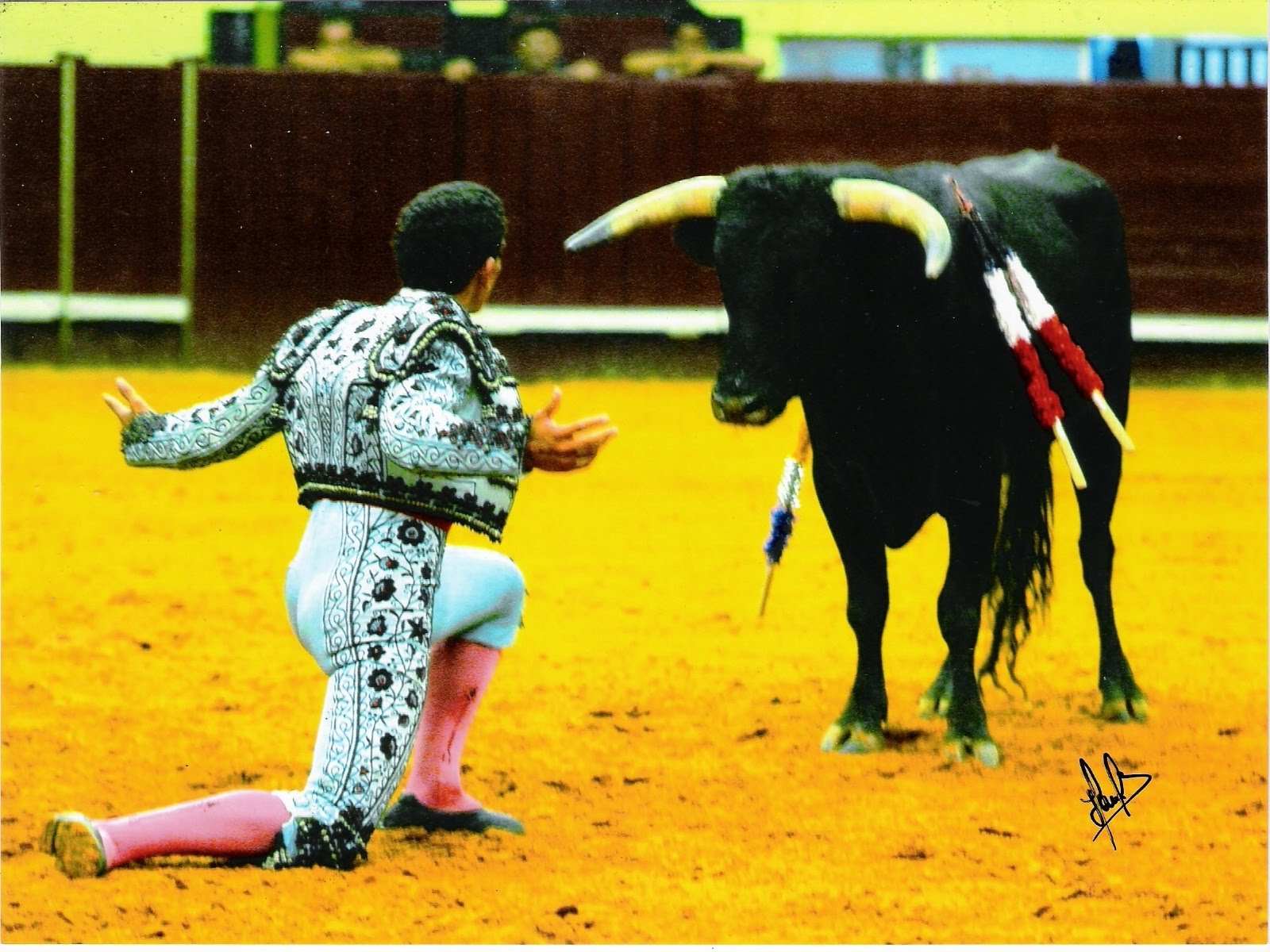 A Arte Taurina: Toureiros