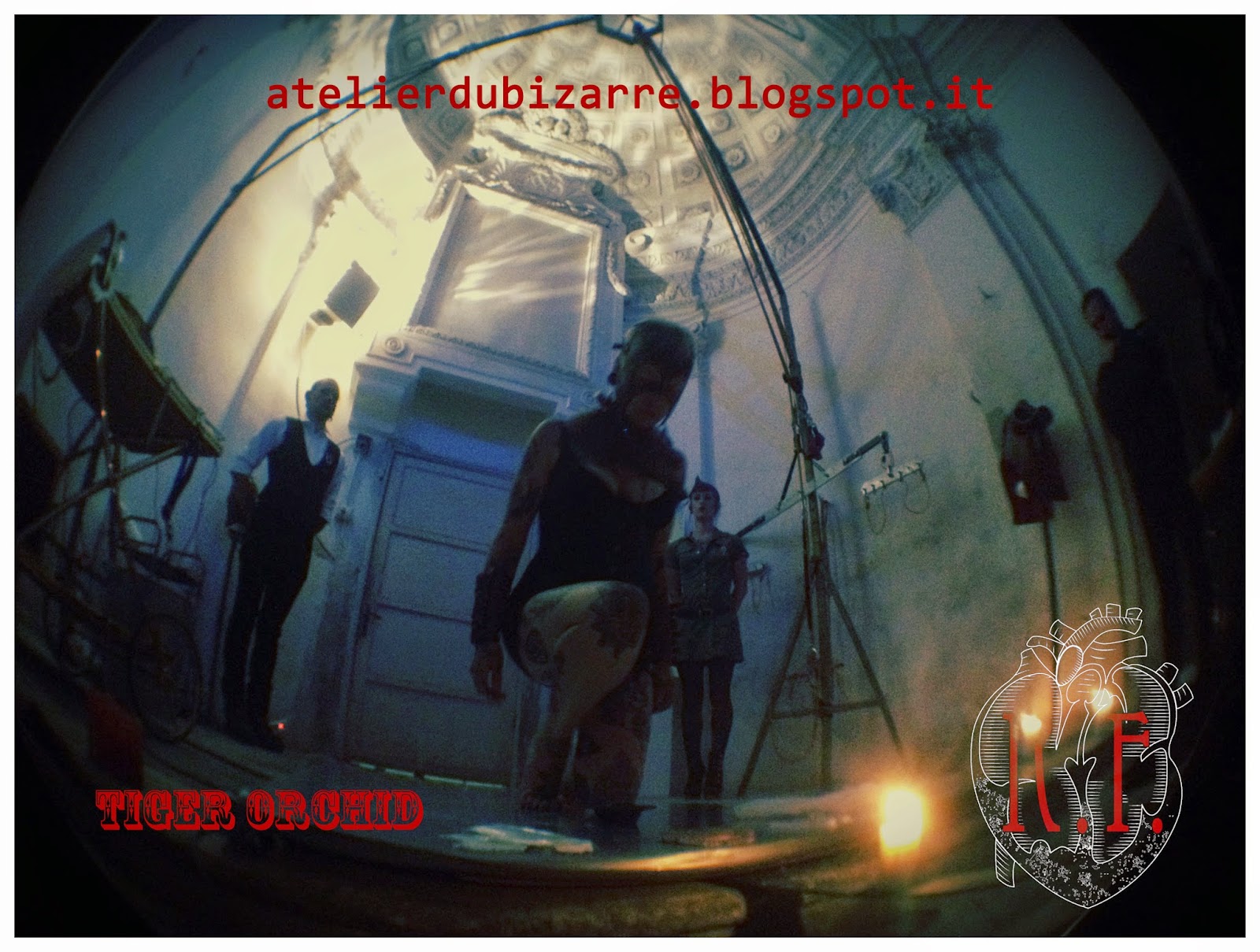 atelier du bizarre: luglio 2014