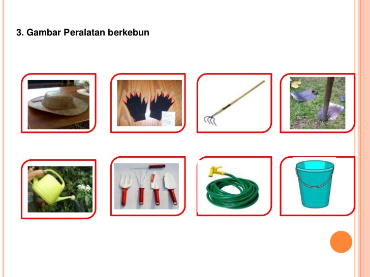 De Kia's: KESELAMATAN DI KEBUN