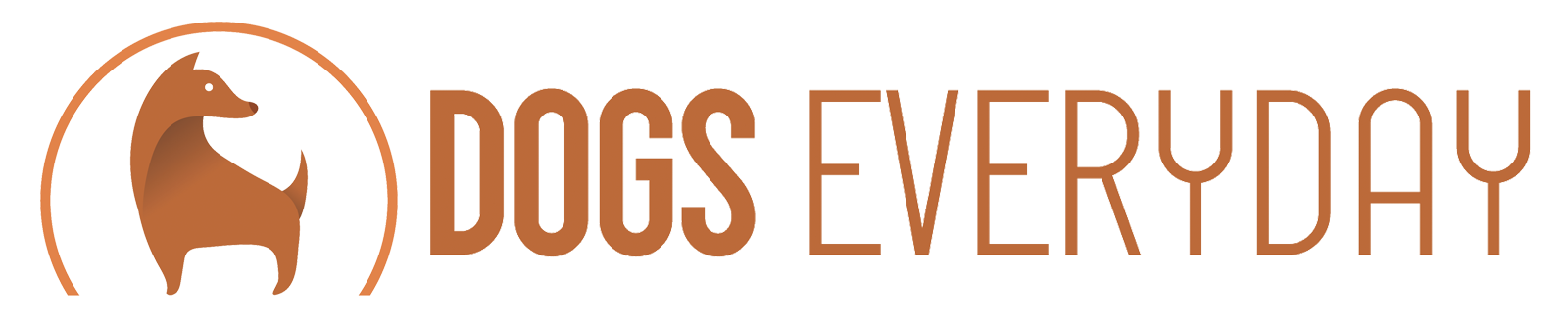 6 reasons that makes dogs bite and what you should do when bitten by ...