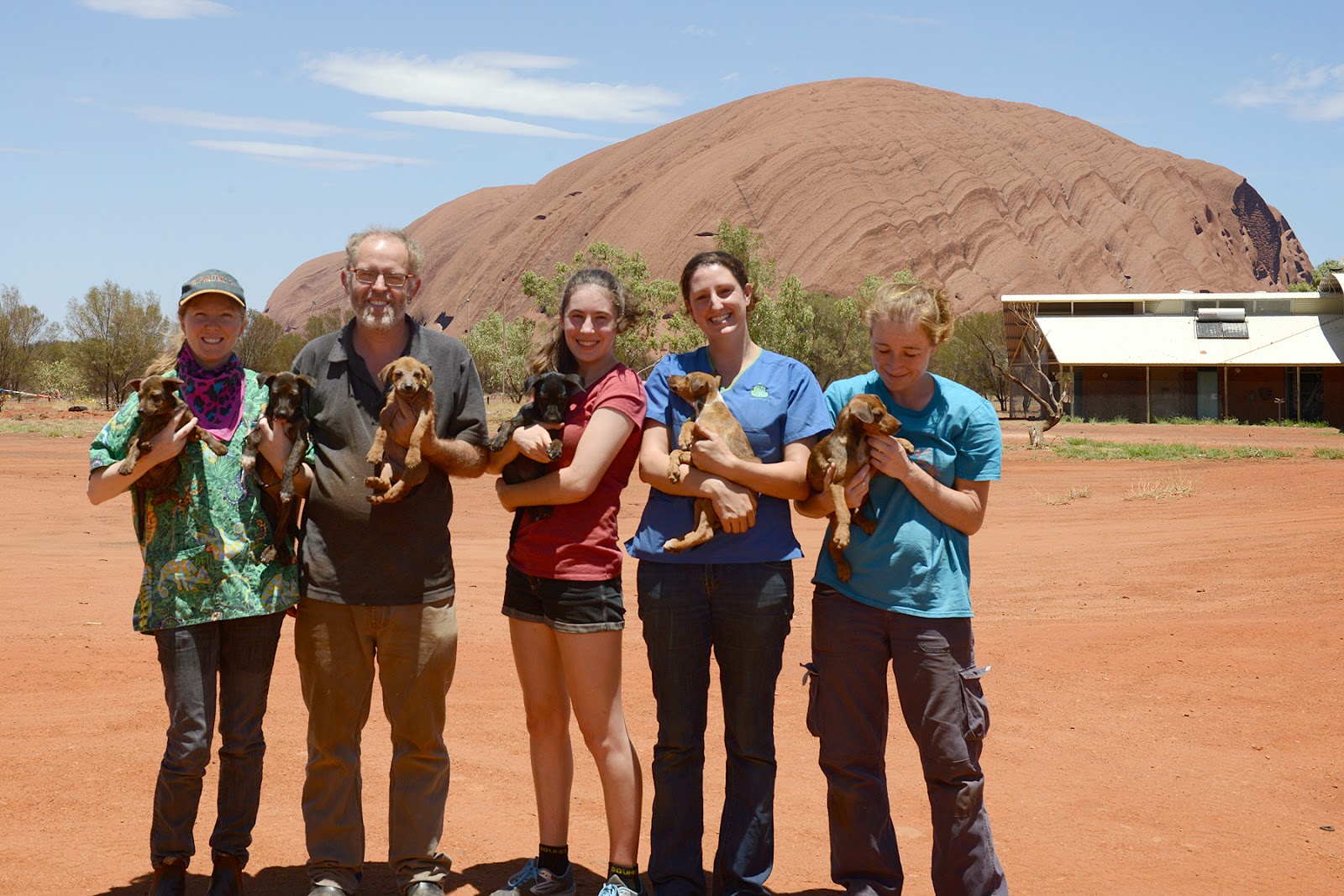 Small Animal Talk: Helping dogs in rural and remote Indigenous communities