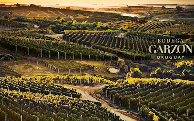 Gastro Wine Tour: Bodega Garzón - Estate, Reserva e Single Vineyard