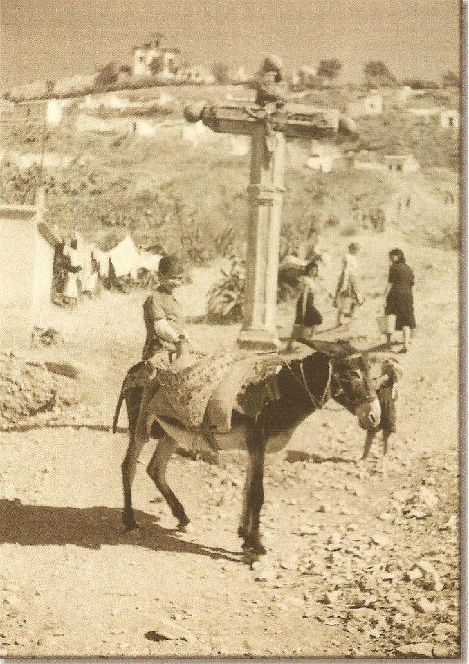 Sobreviviendo: Cruz de la Rauda, Granada