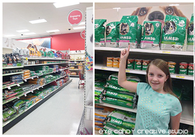 Eye Candy Creative Studio: DIY CRAFT :: for the DOG + Chili pics