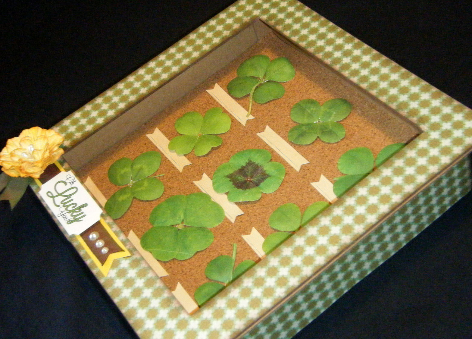 Cards by CG: Shamrock Shadow Box Display