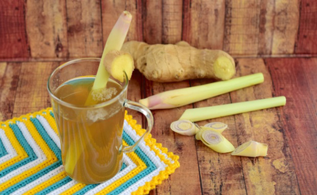 Berbagai Manfaat Jahe (Zingibris Rhizoma) Untuk Tubuh - Garda Remaja