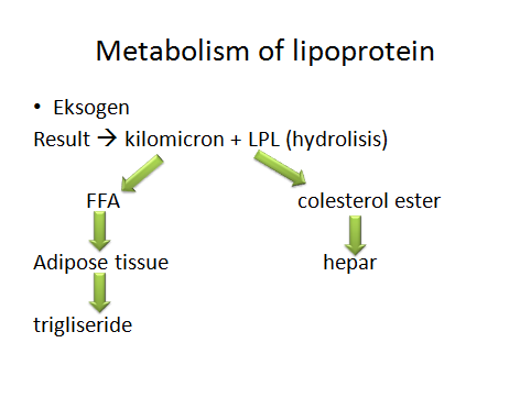 PATOFISIOLOGI SINDROM METABOLIK