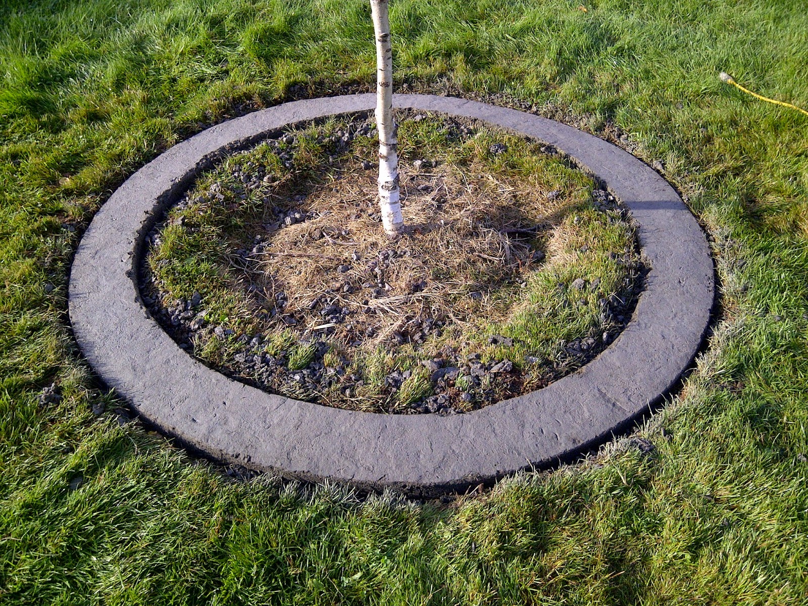 Another Day Another Project: Concrete Borders for Trees