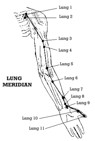 Acupressure Knowledge (एक्यूप्रेशर ज्ञान): The Acupressure Point for ...