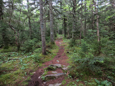 Mountain Wandering: Mount Hale Loop: 7/4/13