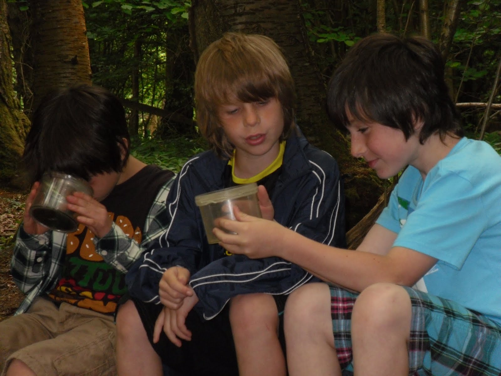 Shoreham Village School: Sayers Croft - Day 3