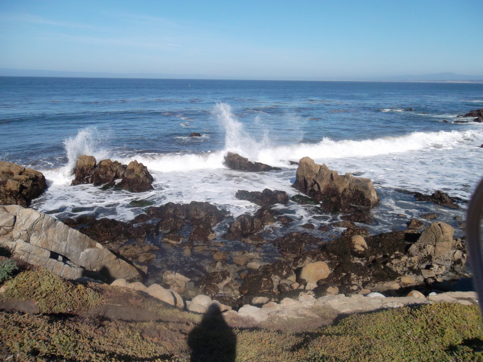 Sari goes travelling: Yosemite National Park, Monterey, Pebble Beach ...