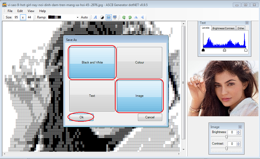 Chuyển đổi hình ảnh sang chuỗi ký tự ASCII - Sora Ribbon