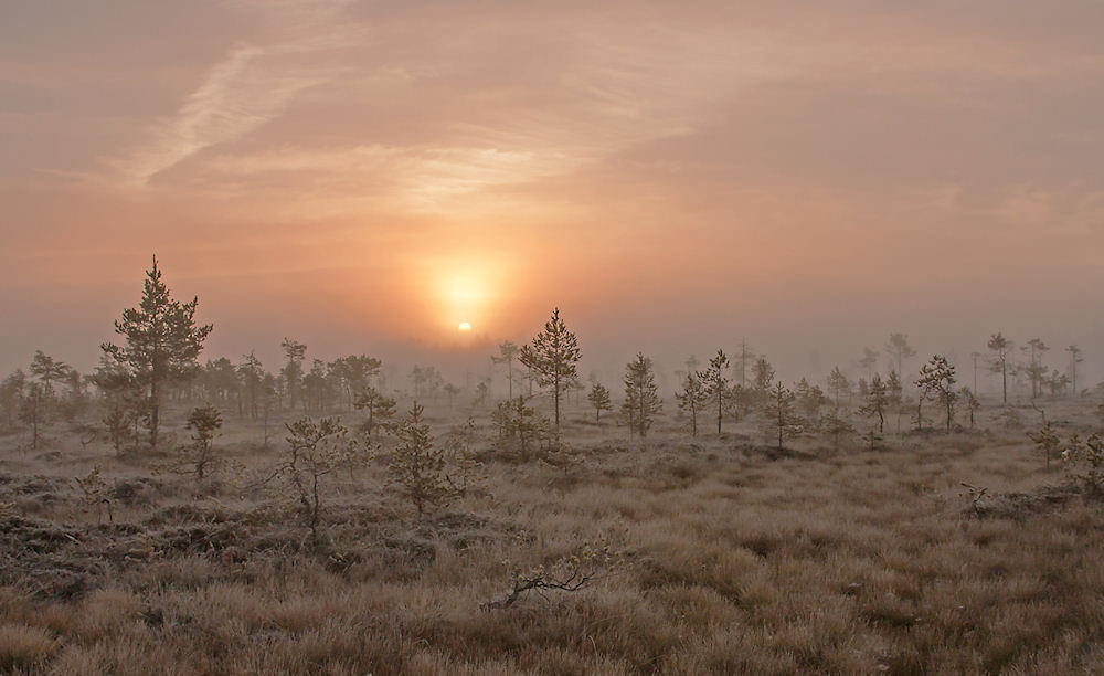 Kymen Kamerat: Auringon nousu tai lasku -kilpailun tulokset