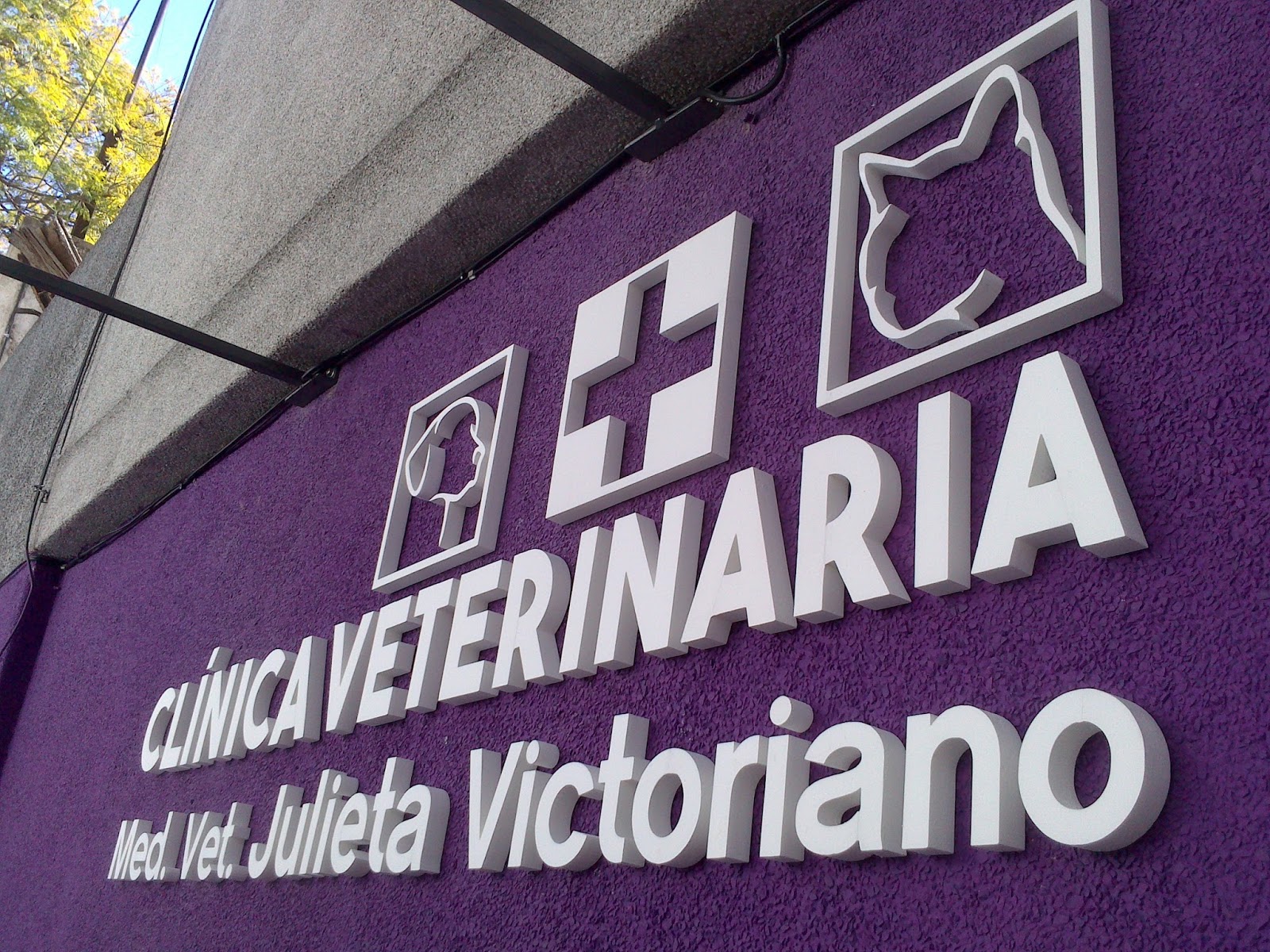 ROSARIO CARTELES: CORPOREOS