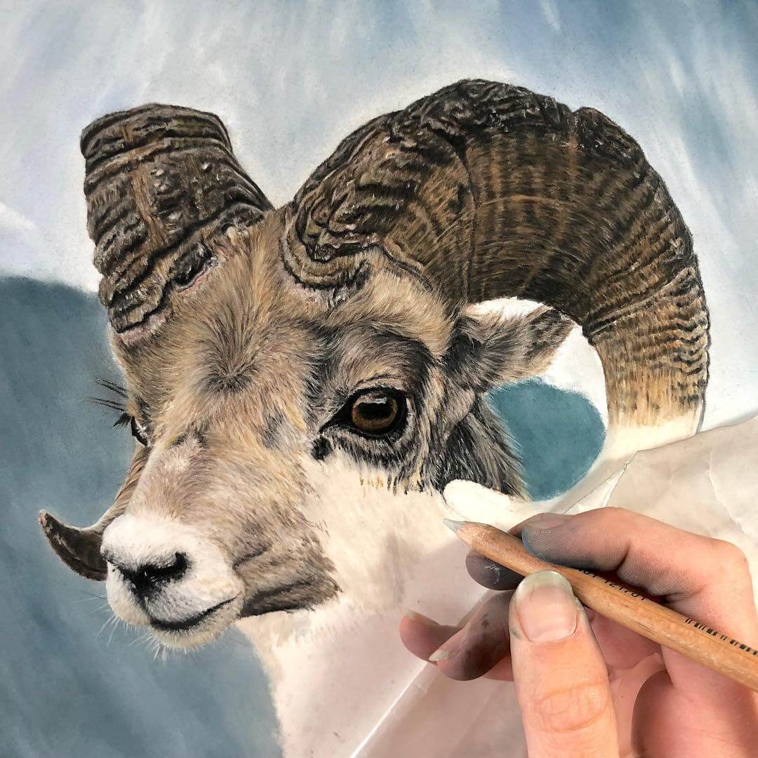 Design Stack: A Blog about Art, Design and Architecture: Drawings by ...