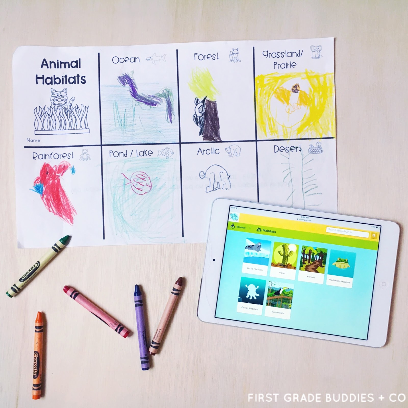 Exploring Animal Habitats | First Grade Buddies