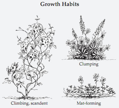 Plant Life: Growth Habits