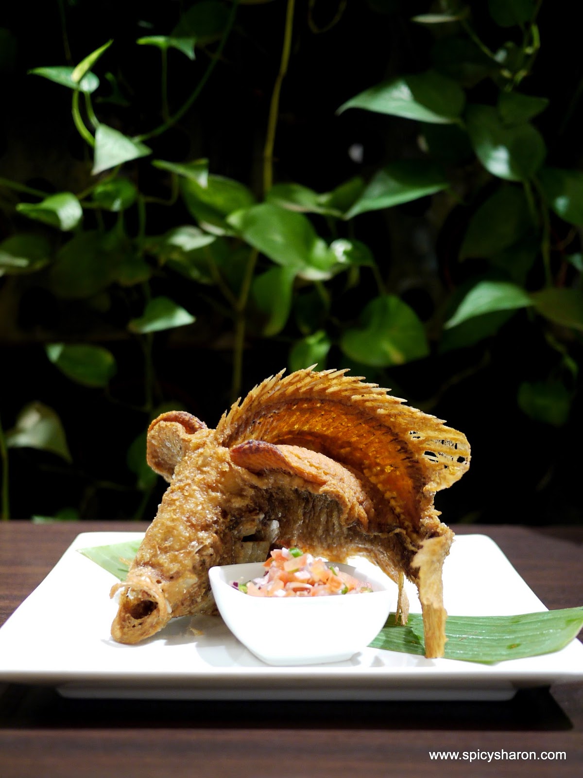 A Taste Of Indo-Malay With Dancing Fish @ Bangsar Shopping Centre KL ...