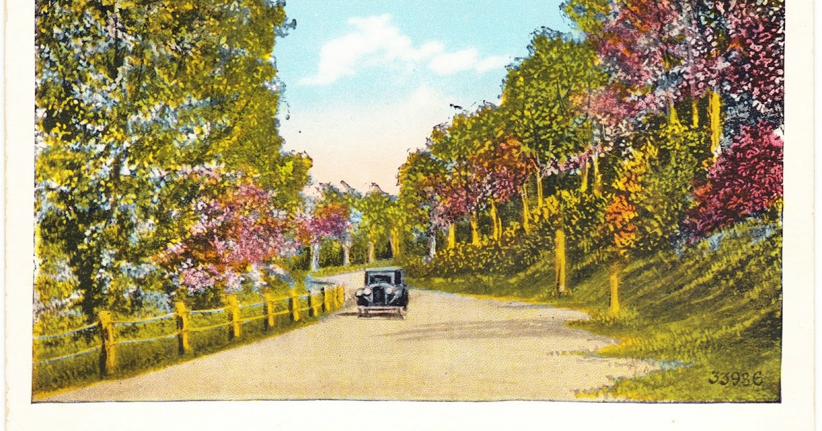 Papergreat: Pair of "Greetings from" postcards