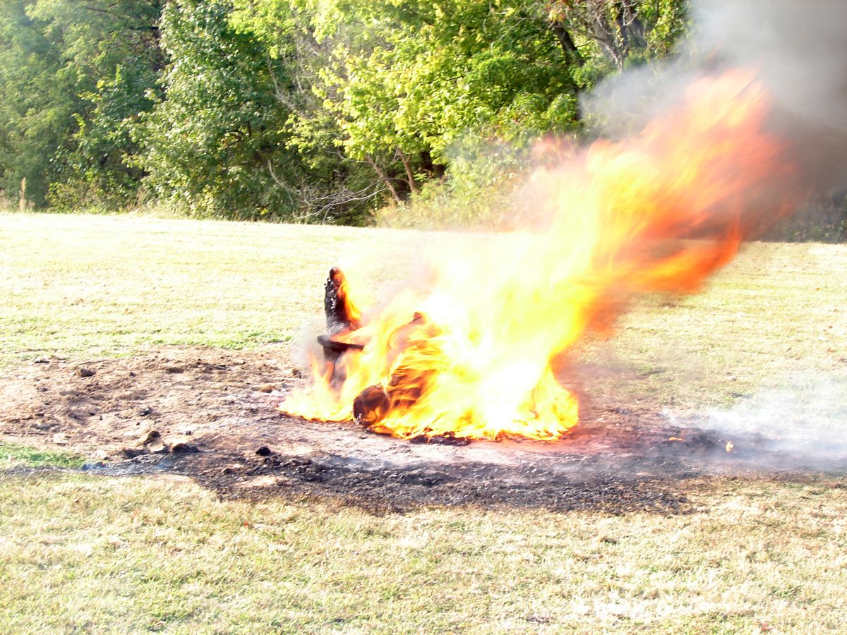 Poetry Scores: Zombie bomb scenes with burning stuffed animals and ...