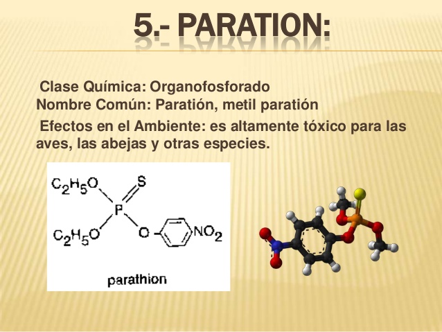 LOS TRANSGÉNICOS SON PLAGUICIDAS: COMEMOS VENENO | Despierta tú que ...
