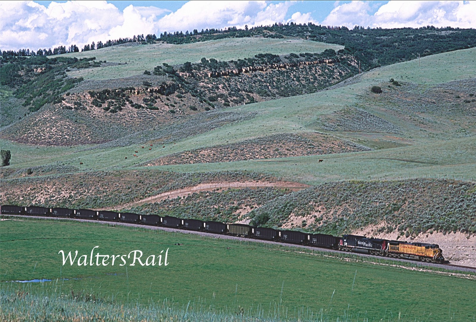 WaltersRail : UNION PACIFIC: The Craig Branch in its Prime