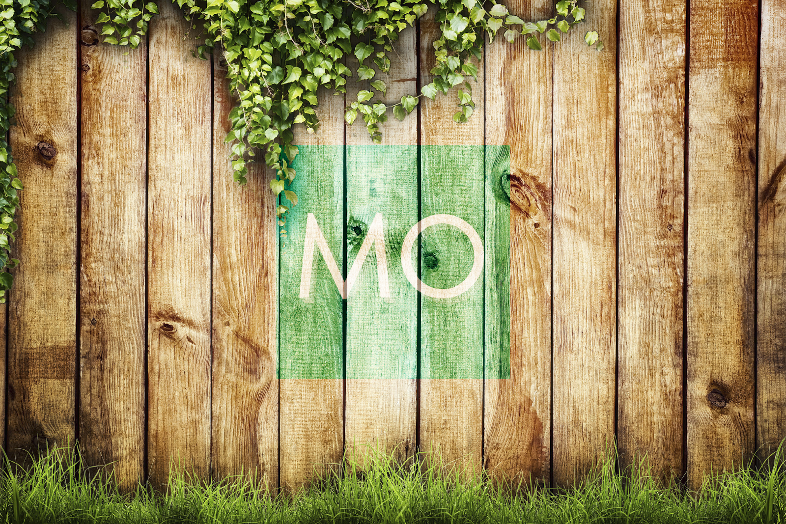 Milnrow Online: 3 Things To Do In Milnrow This Weekend