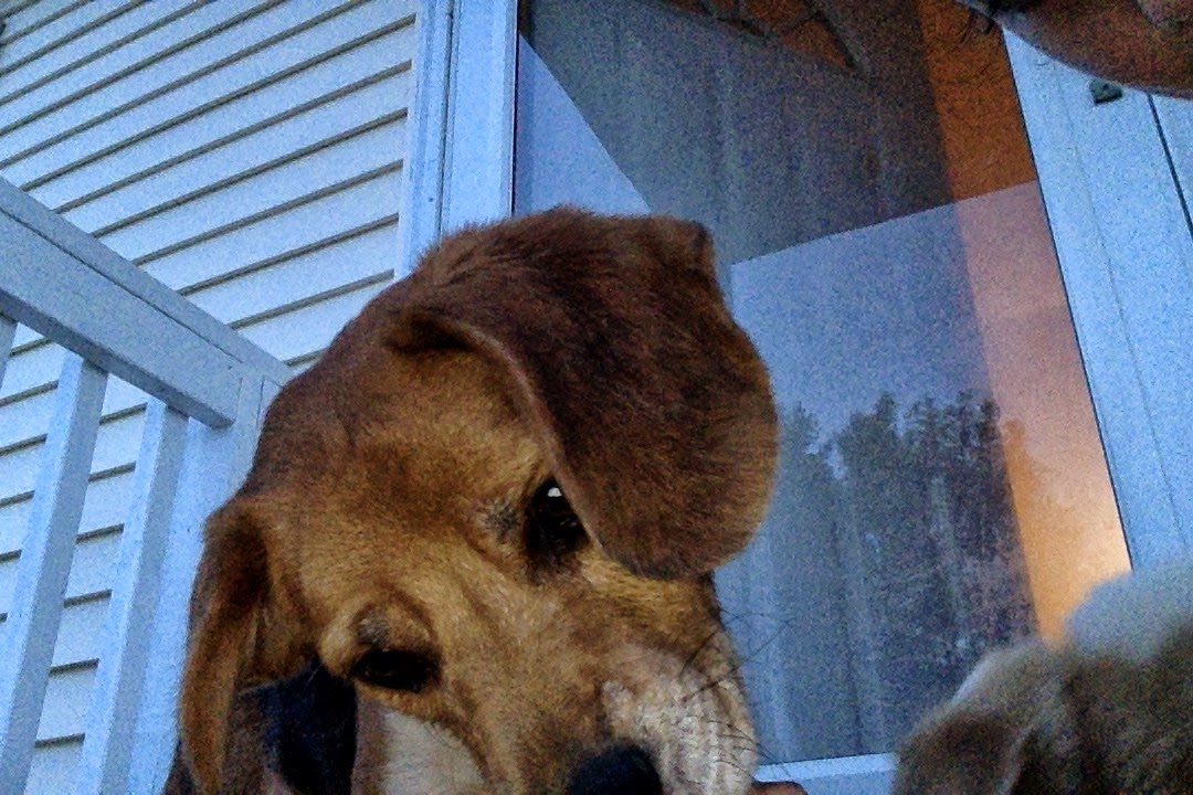 Mrs "MATH"Atee Stroudwater Math: Chapter 2.3 The PERCENT Proportion