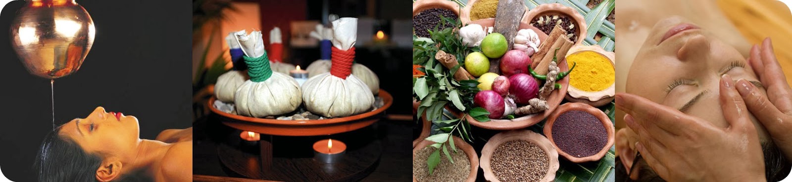 Ayurveda Uruguay: Qué es el Ayurveda?