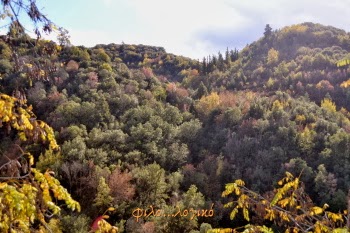 φιλο...λογικό: Μαίναλο Αρκαδίας