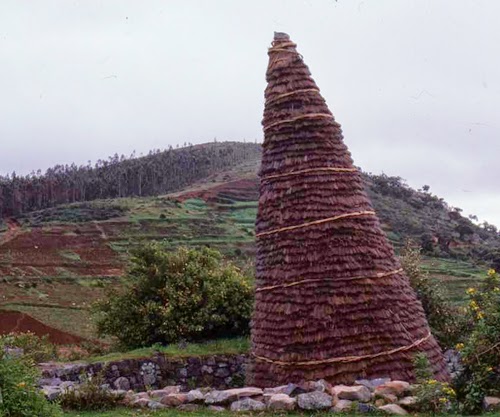 Wildlife Vet, Author, Storyteller: The Toda of South India: Culture and ...
