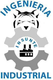 Proyectos integradores Insunte