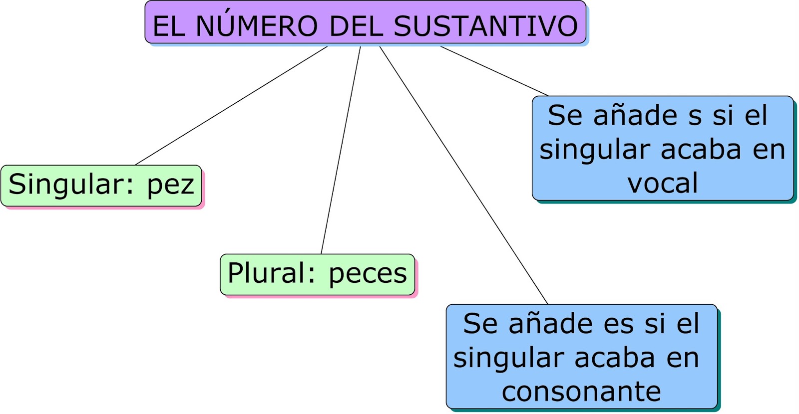 El blog de 6º B: EL NÚMERO DEL SUSTANTIVO