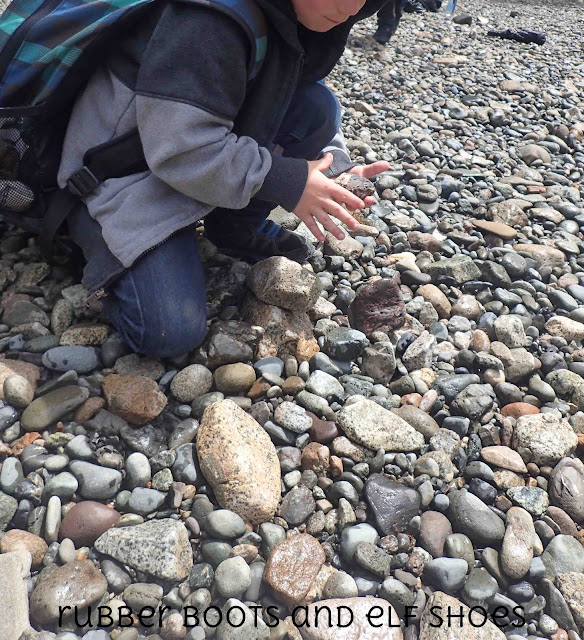 Everybody Needs a Rock: read and hunt for rocks - rubber boots and elf ...