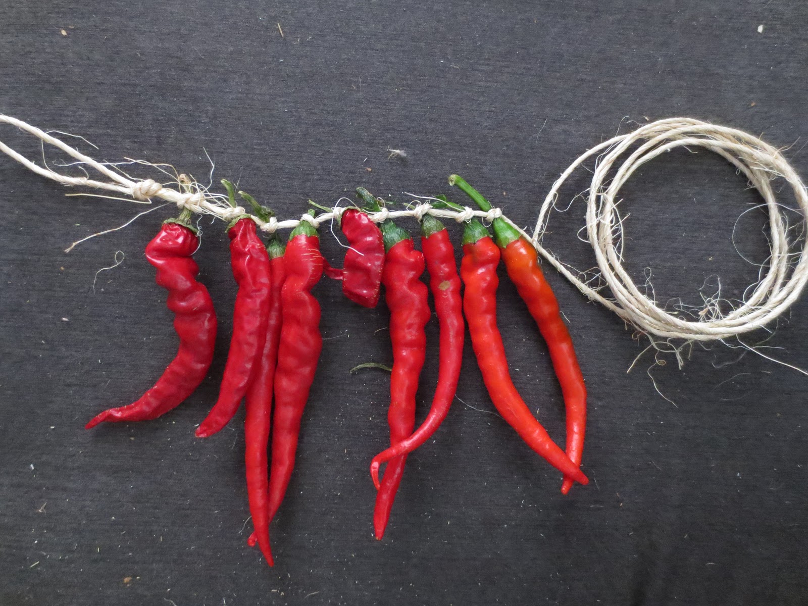 My Old New House: How to Make a Hot Pepper Ristra