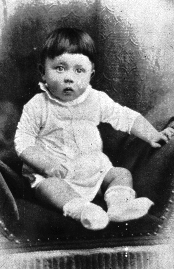 sobre la vida de hitler