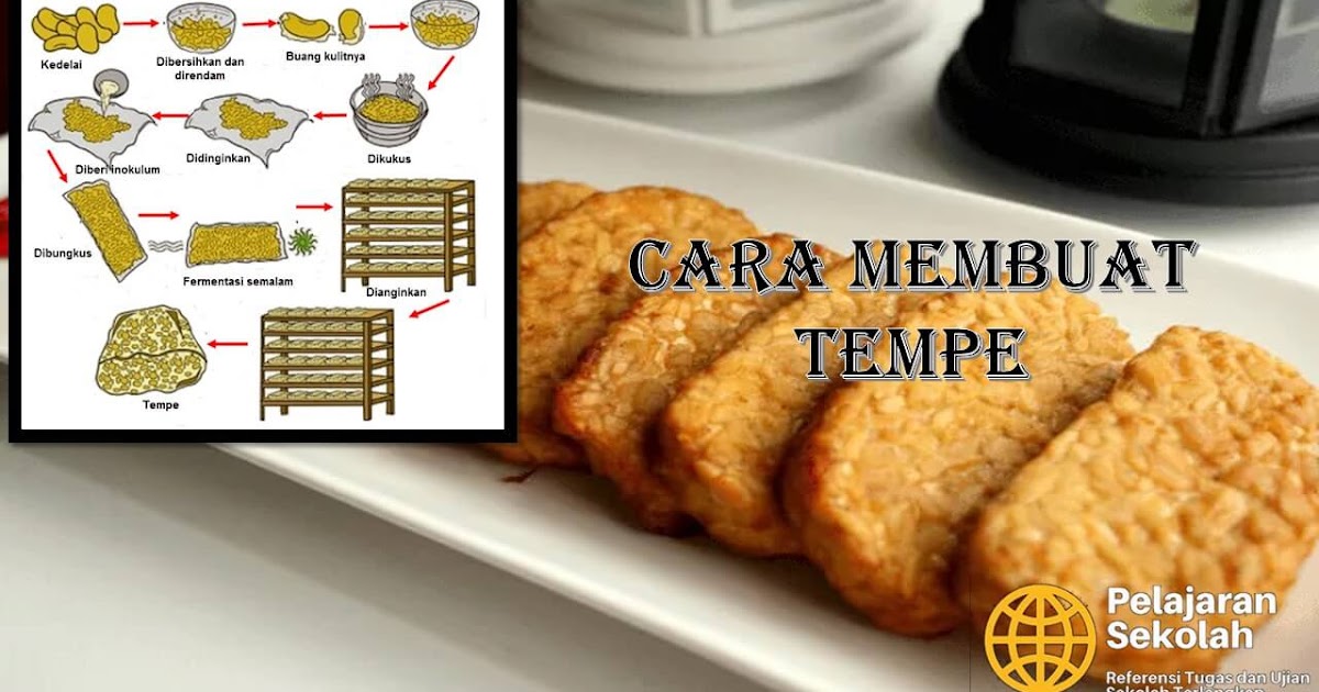 Cara Membuat Tempe Dengan Ragi Mudah Simple Di Rumah - Pelajaran Sekolah