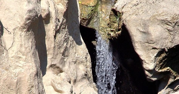 The Trustworthy Word: Living Water