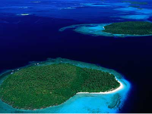 Tongan Tropical Moist Forests: Forest Cover