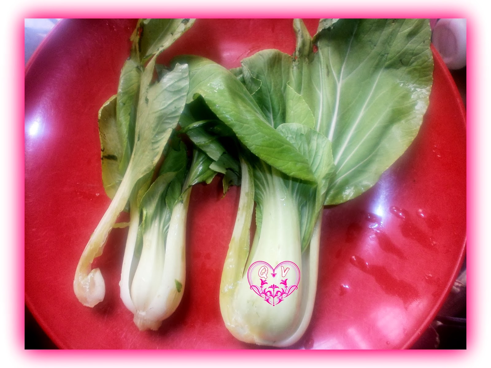 Tips Untuk Elak Sayur Daripada Cepat Busuk Suatu Perjalanan