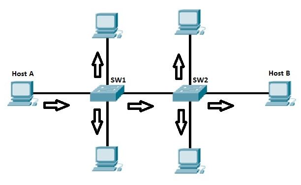 What is a VLAN