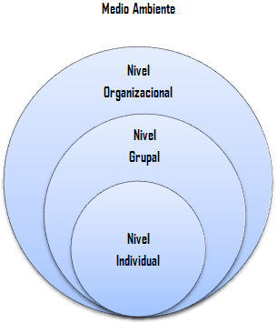 Procesos individuales y grupales del comportamiento organizacional