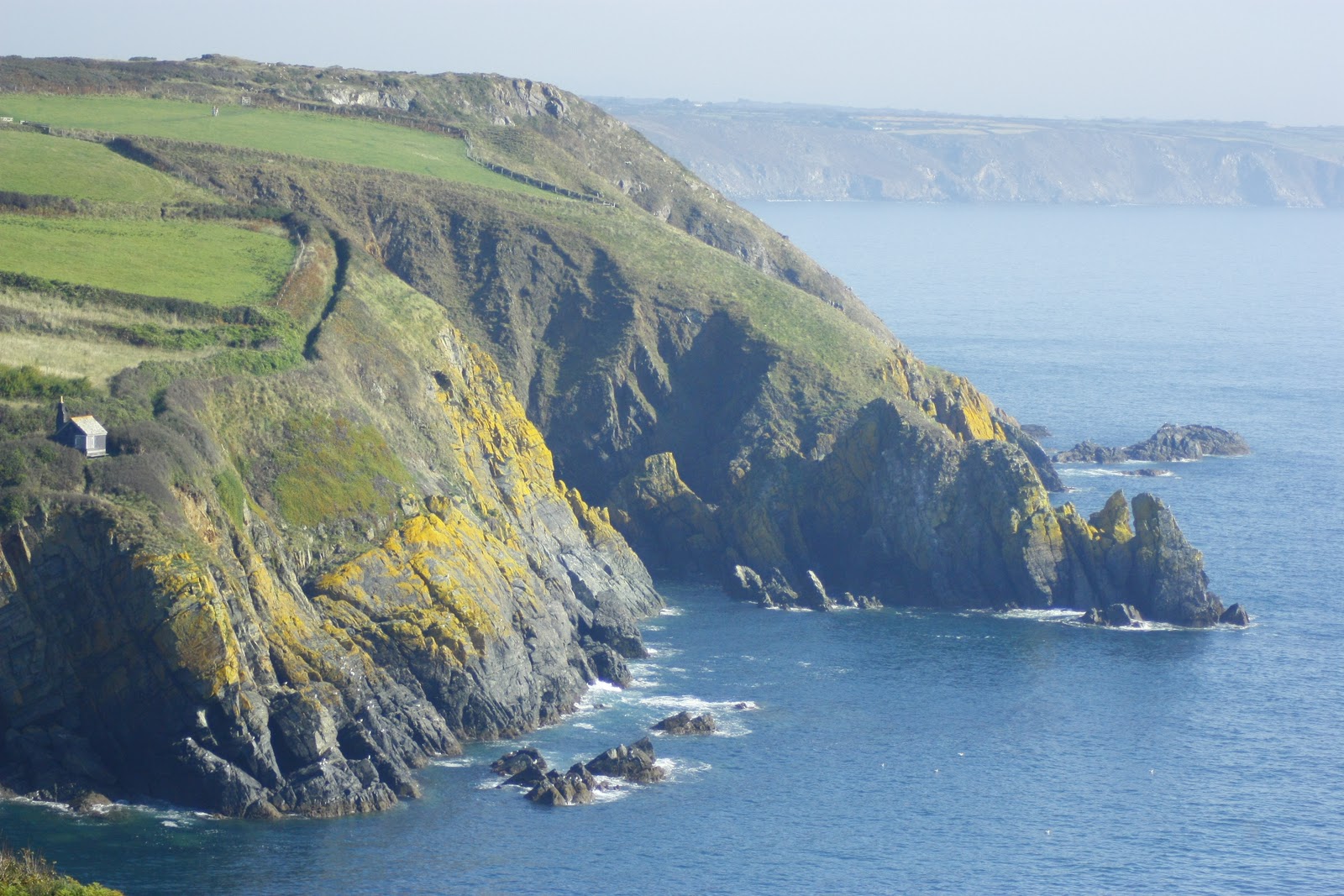 Samuel Birding: Cornish Coastal walk around Lizard Point (2nd October)