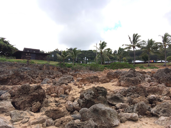 Hawaii Mom Blog: Pupukea Tide Pools