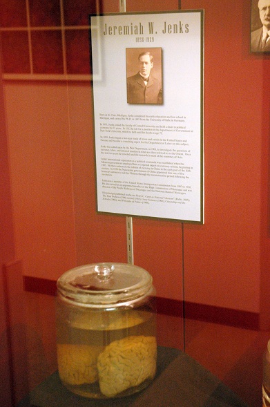 OTIS (Odd Things I've Seen): The New York Grimpendium: Wilder Brain ...