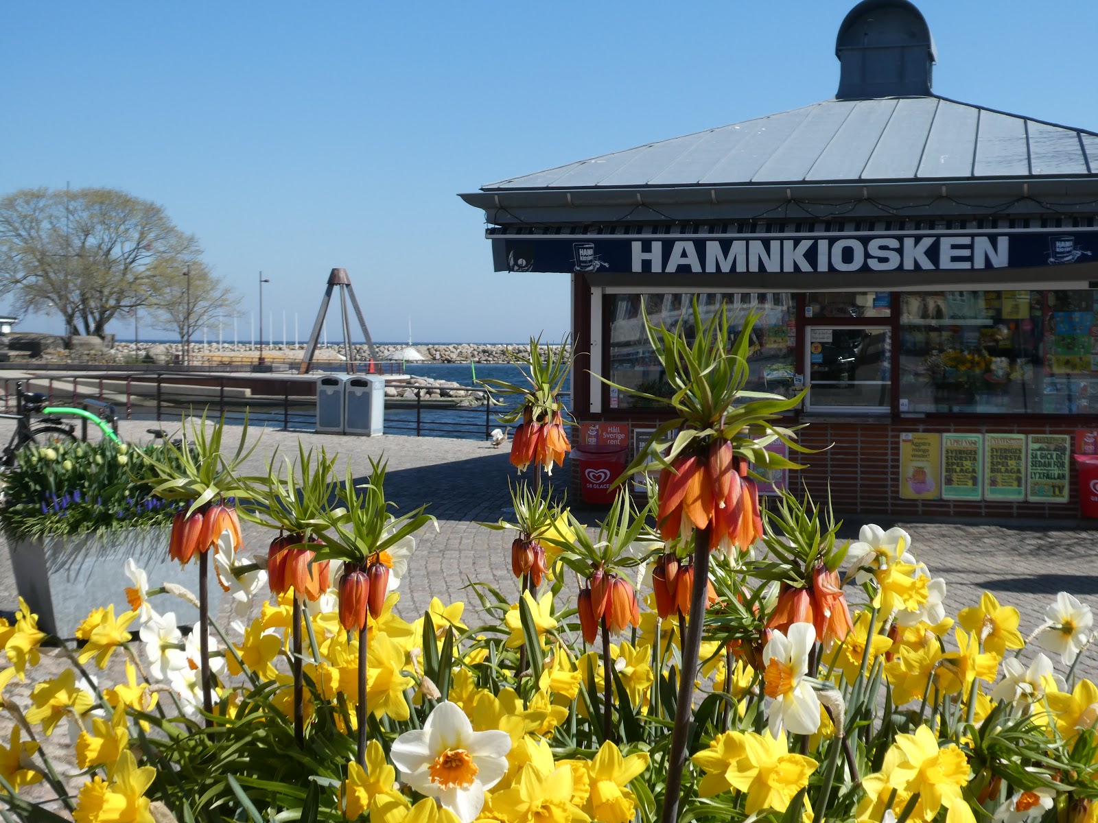 Skånska Resor: Sol över Simrishamn