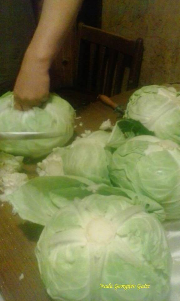 Iz Banatske kujne: Kiseljenje kupusa